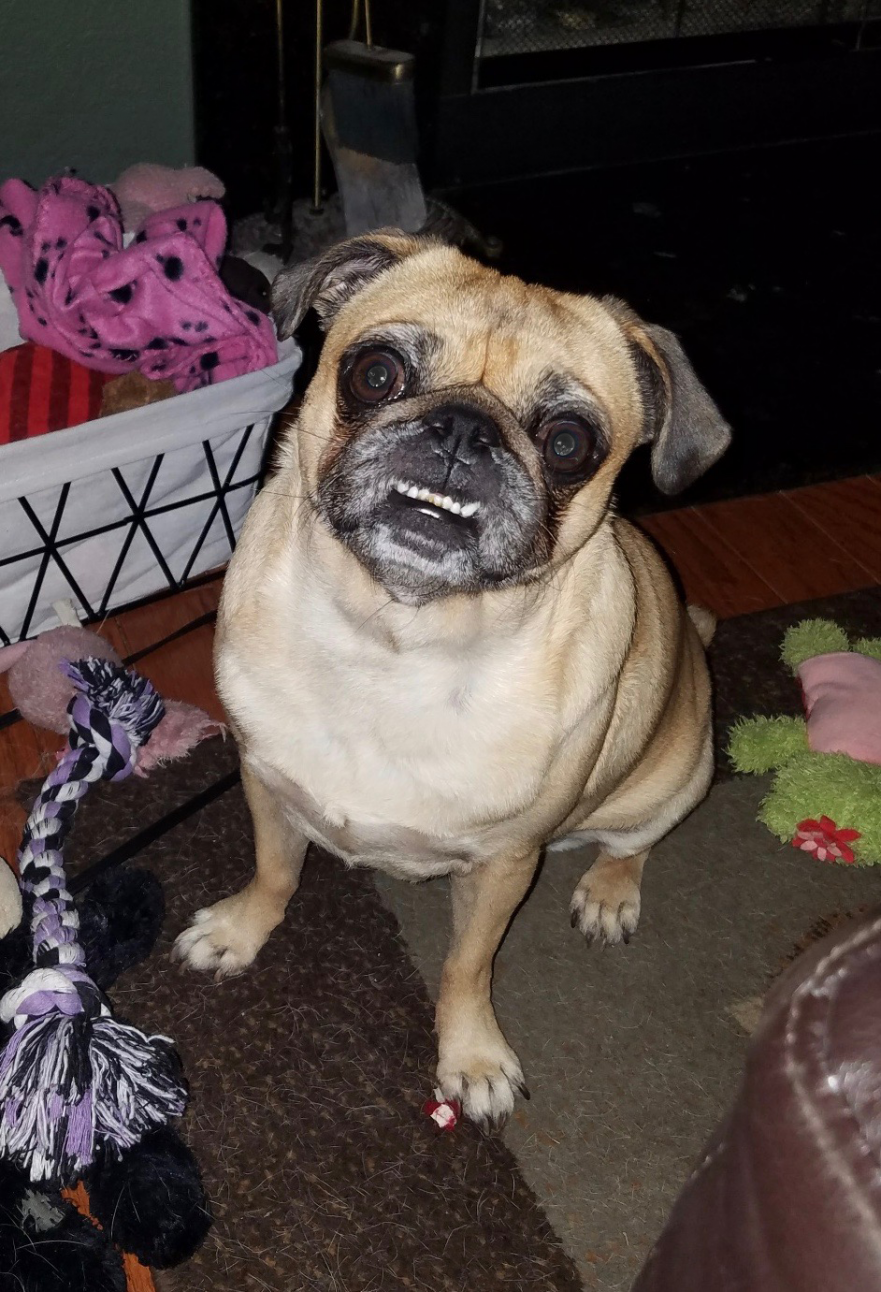 Penny Hogan - 3 yr - Aparn